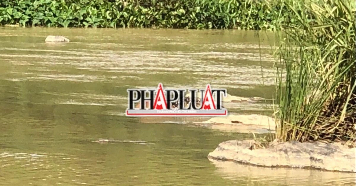 1 phụ nữ tử vong ở sông Đa Nhim | Báo Pháp Luật TP. Hồ Chí Minh