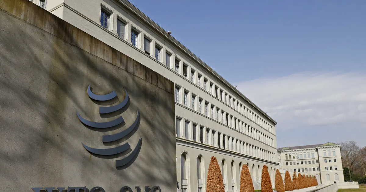 WTO ra phán quyết vụ Trung Quốc áp thuế bổ sung với hàng hóa Mỹ | Báo Pháp Luật TP. Hồ Chí Minh