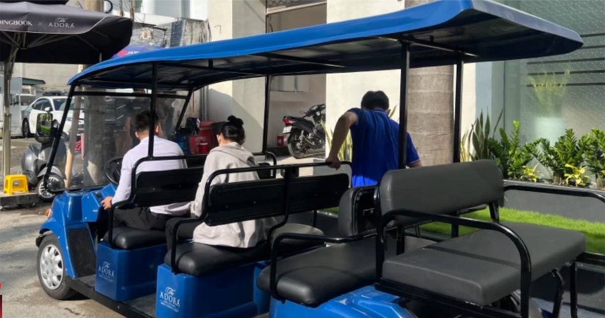 TP.HCM chính thức cho thí điểm 200 xe 4 bánh sử dụng năng lượng sạch ...