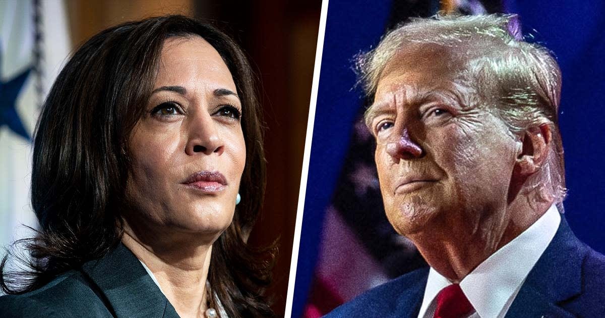 Bầu cử Mỹ: Tỉ lệ ủng hộ ông Trump, bà Harris ra sao ở 7 bang chiến trường? | Báo Pháp Luật TP ...