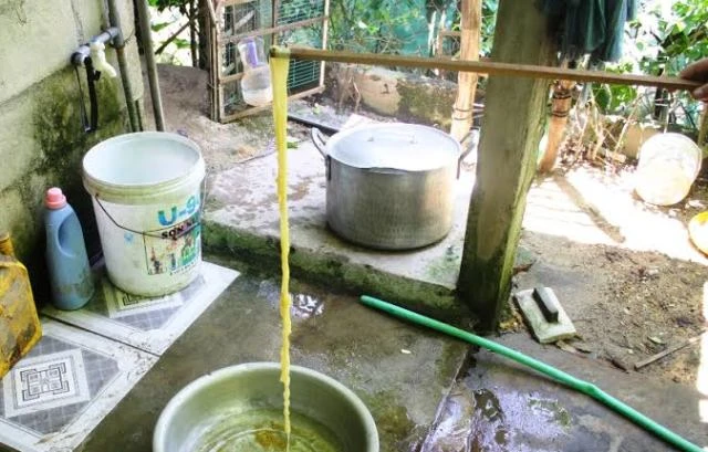 Sán sơ mít dài 12m ký sinh trong ruột người | Báo Pháp Luật TP. Hồ Chí Minh