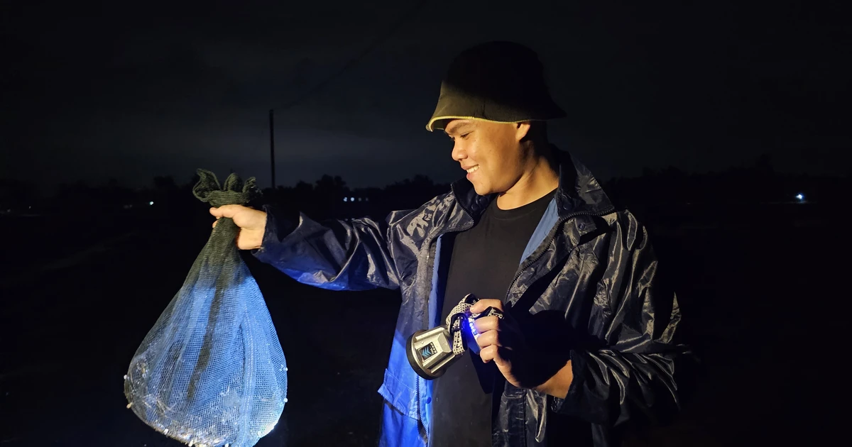 Người dân Long An rủ nhau đi bắt ếch đồng đầu mùa mưa | Báo Pháp Luật ...