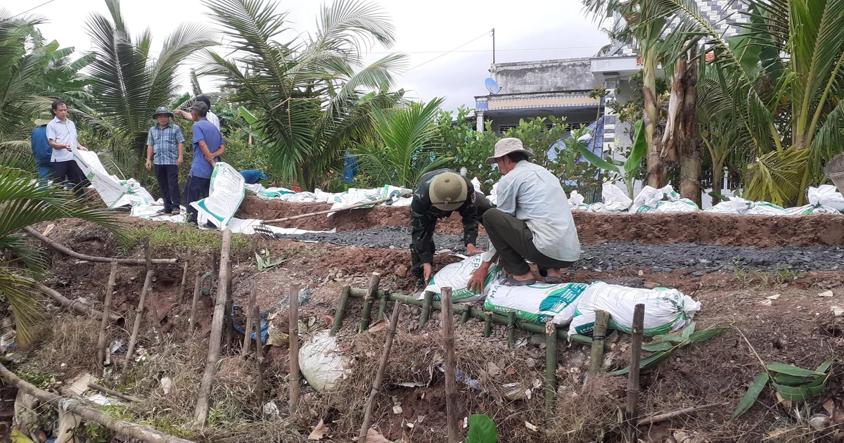 Nguy cơ vỡ đê bao ven sông Hậu, Trà Vinh ban bố tình huống khẩn cấp ...
