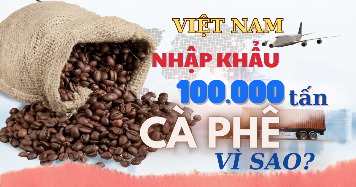 Việt Nam nhập khẩu hơn 100.000 tấn cà phê, vì sao? | Báo Pháp Luật TP. Hồ Chí Minh