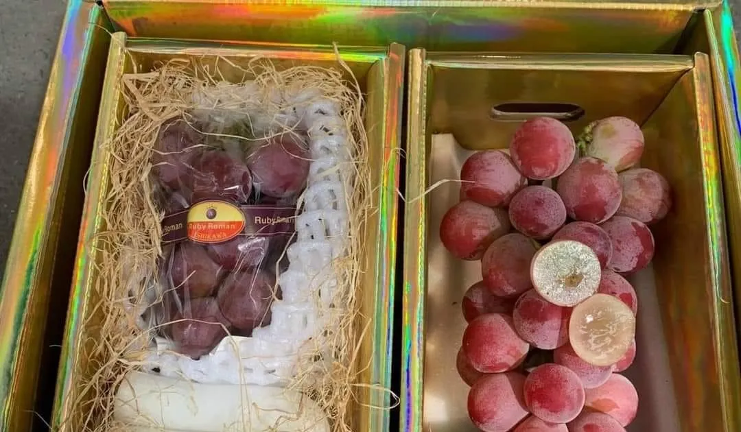 Cẩn trọng nho đội lốt giống Ruby Roman đắt đỏ của Nhật | Báo Pháp Luật TP. Hồ Chí Minh