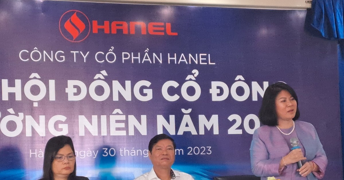 Công ty Hanel mong chờ được thoái vốn Nhà nước theo kế hoạch từ 2020 ...