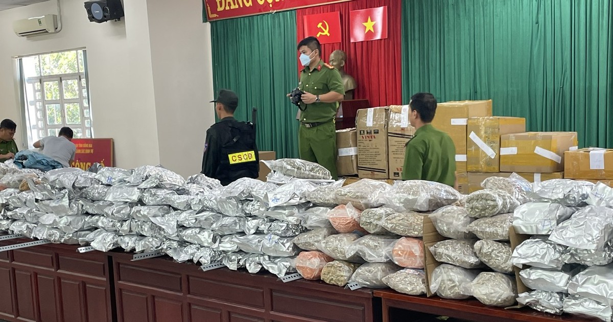 C04 phá đường dây sang Thái Lan trồng Cần Sa rồi đưa về Việt Nam tiêu thụ | Báo Pháp Luật TP. Hồ ...