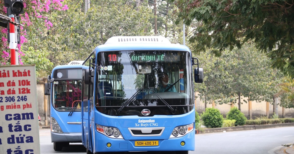 Bị quáng gà có được cấp GPLX hạng D không? | Báo Pháp Luật TP. Hồ Chí Minh