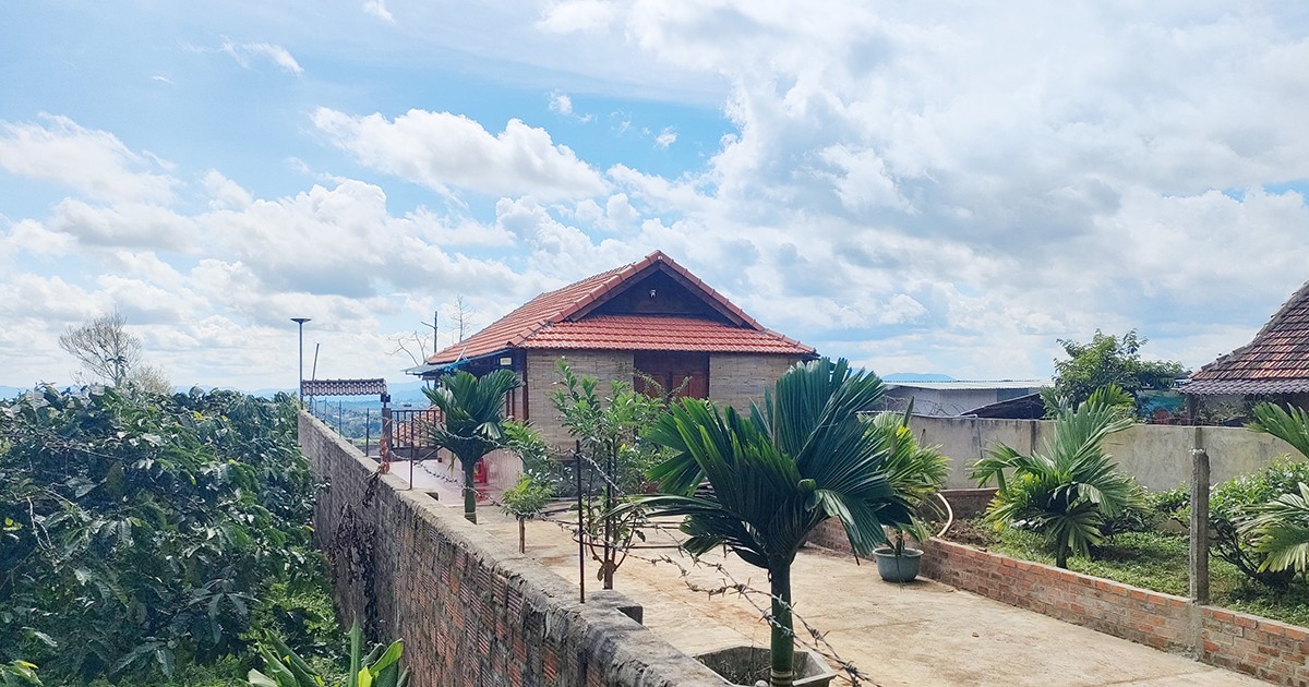 Công an TP Pleiku bắt vụ đánh bạc quy mô lớn, tạm giữ 41 người | Báo Pháp Luật TP. Hồ Chí Minh