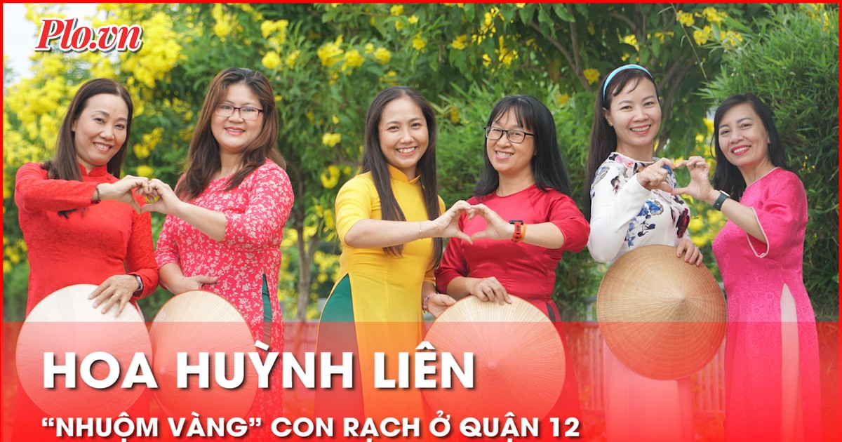 Hoa huỳnh liên 'nhuộm vàng' con rạch ở quận 12, nhiều người diện áo dài đến check-in | Báo Pháp ...