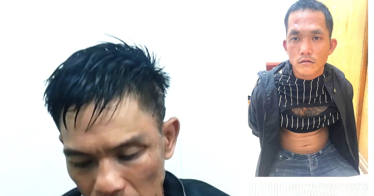 Vụ án Hoà Hai Thời: Công an bắt ông trùm băng trộm cắp liên huyện | Báo ...