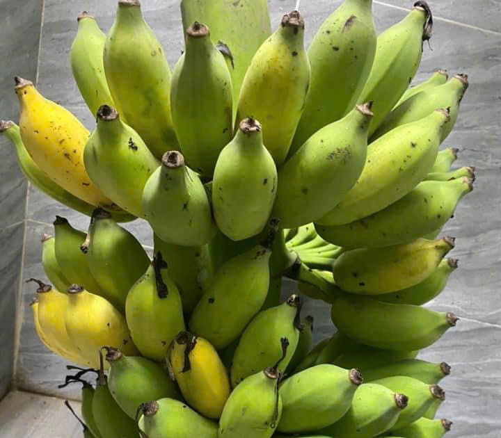 Tiêu thụ chuối trước khi đi ngủ có thực sự giúp ngủ ngon hơn không ...