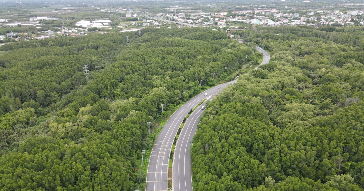 Sắp có tuyến đường kết nối đường Rừng Sác, Cần Giờ với cao tốc Bến Lức ...
