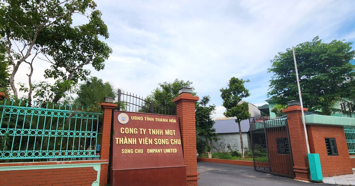 Chủ tịch một công ty bổ nhiệm vợ con không đúng quy định, chưa minh ...