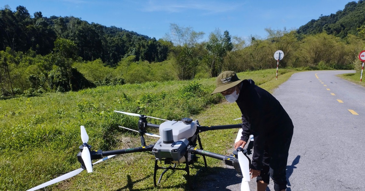 Quảng Bình: Dùng máy bay không người lái phun thuốc diệt châu chấu phá hoại | Báo Pháp Luật TP ...