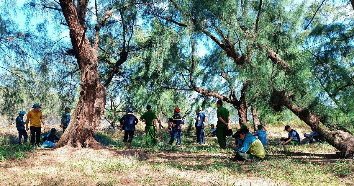 Huy động gần 100 người dập đám cháy rừng ở Quảng Trị | Báo Pháp Luật TP. Hồ Chí Minh