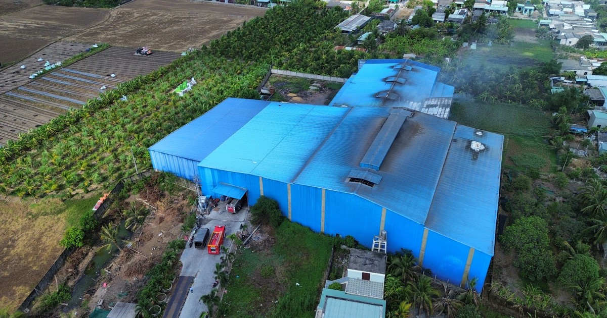 Khói vẫn âm ỉ trong vụ cháy nhà máy xay xát lúa gạo ở Long An | Báo ...