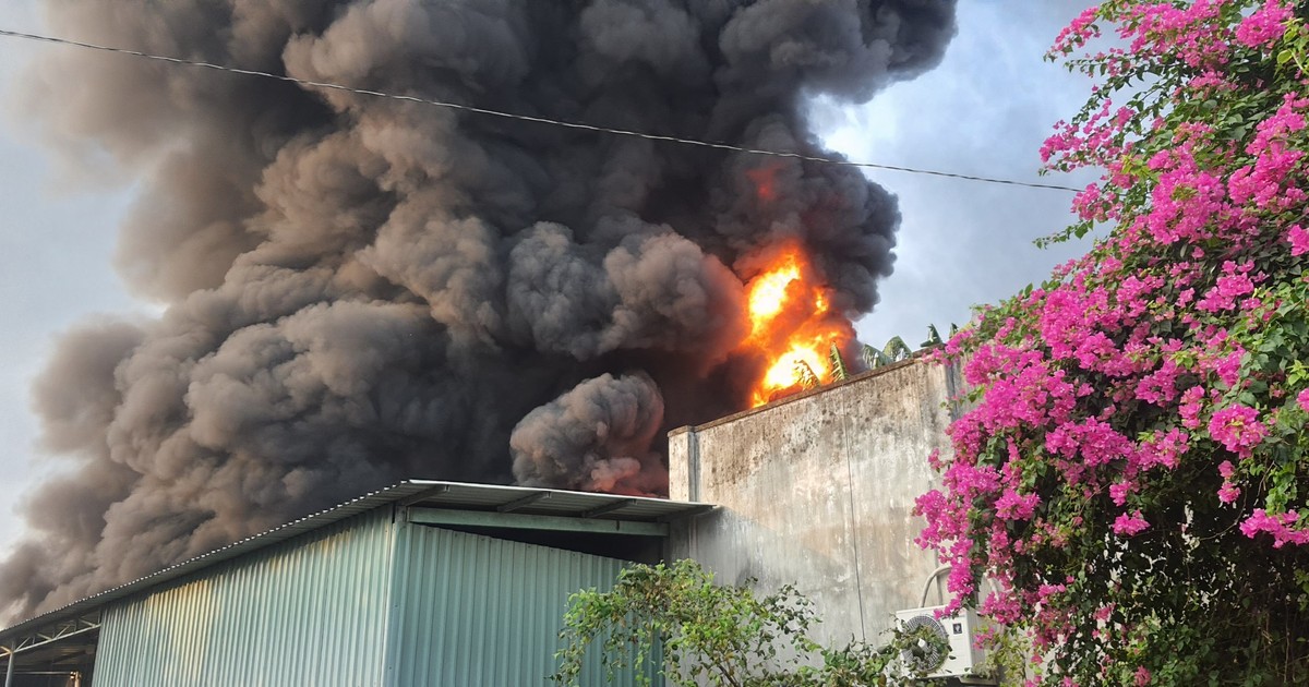 Bình Dương: Cơ sở mút xốp bị cháy, chìm trong biển lửa | Báo Pháp Luật ...