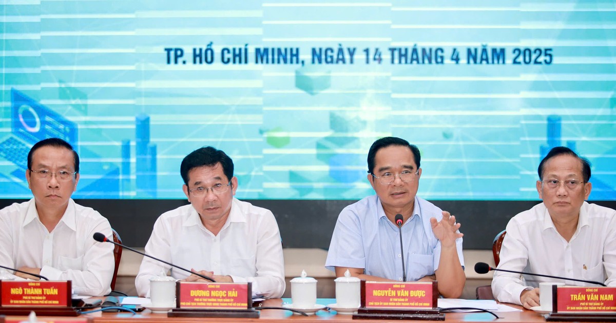 TP.HCM nghiên cứu chính sách hỗ trợ cho cán bộ thuộc diện tinh giản ...