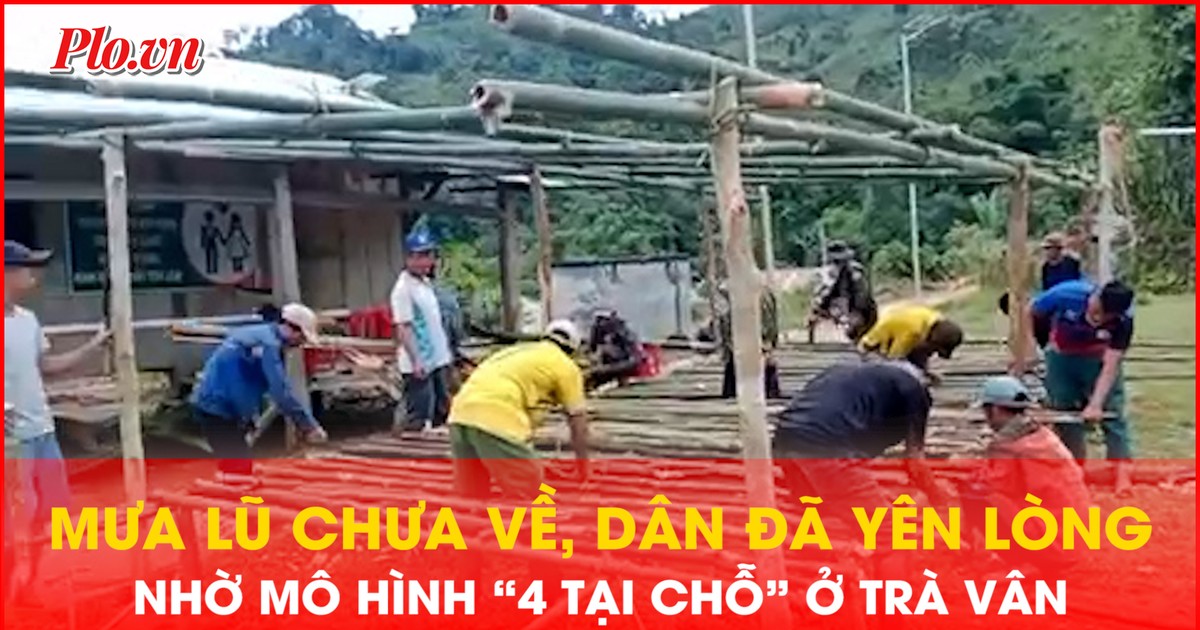 Điểm sáng mô hình '4 tại chỗ' ở vùng cao Trà Vân | Báo Pháp Luật TP. Hồ ...