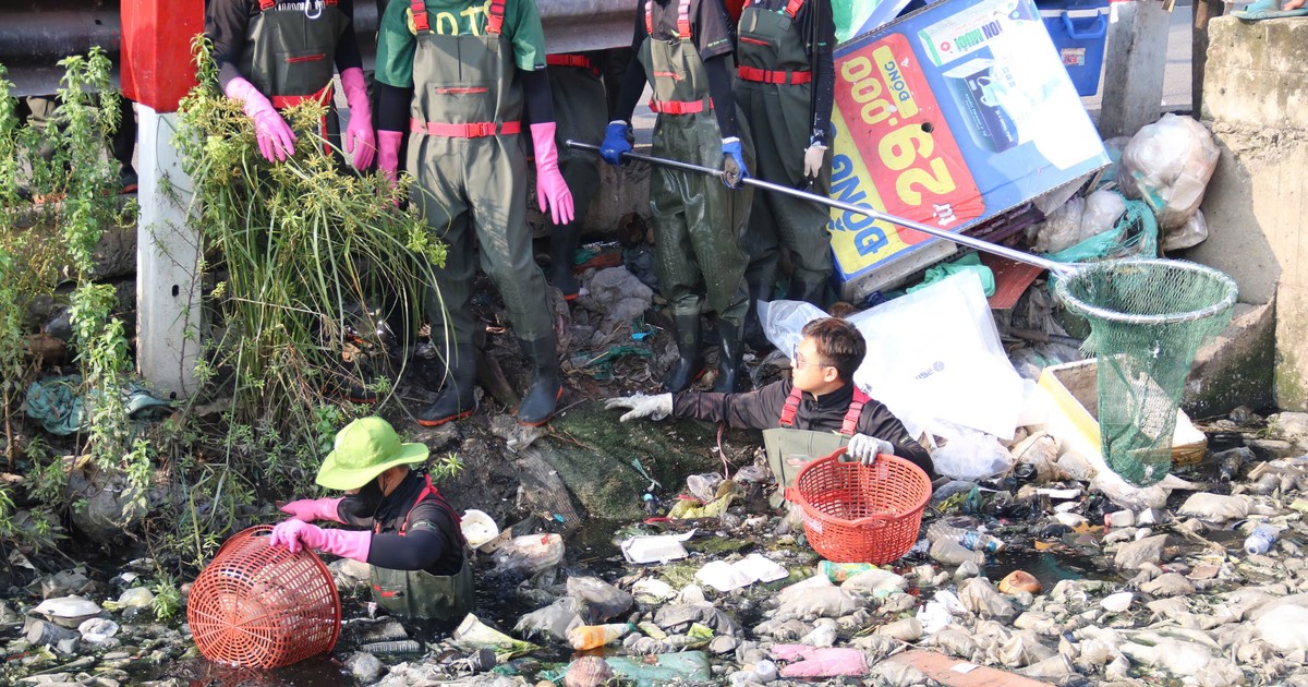 Ra quân dọn rác, khơi thông dòng chảy kênh ở quận Bình Tân | Báo Pháp ...