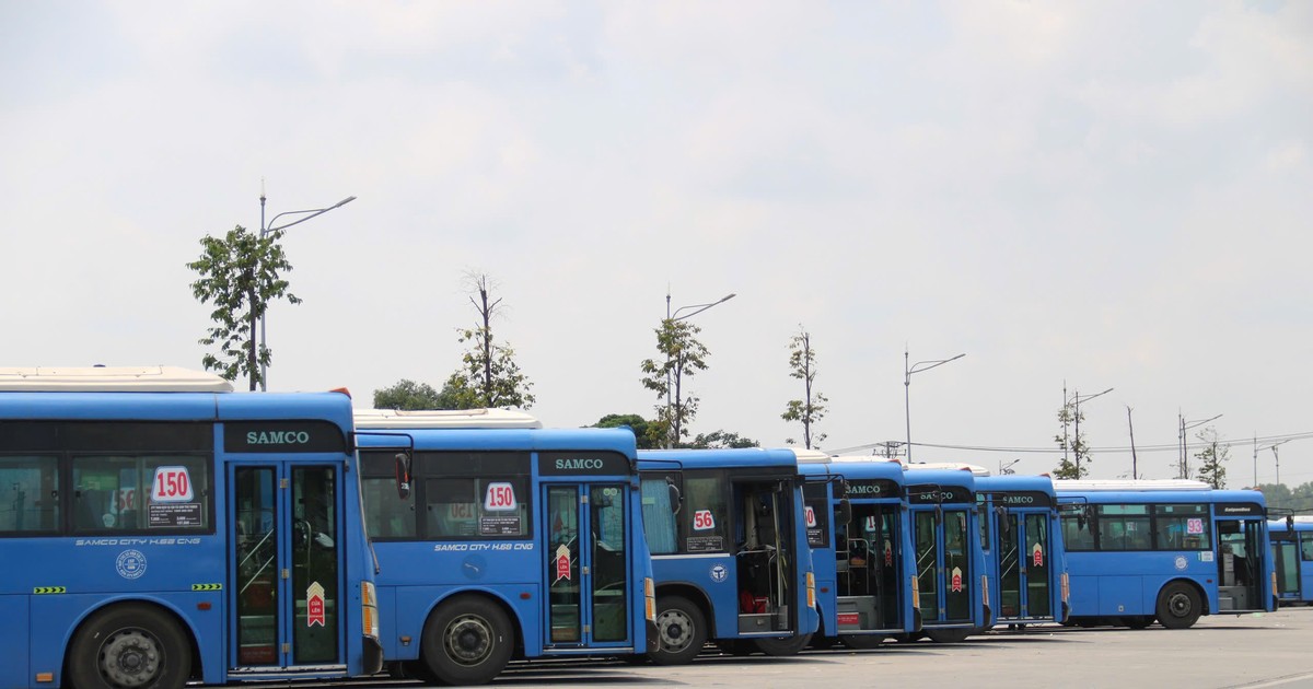 102 tuyến xe buýt ở TP.HCM thanh toán không tiền mặt, tạo thuận lợi cho ...