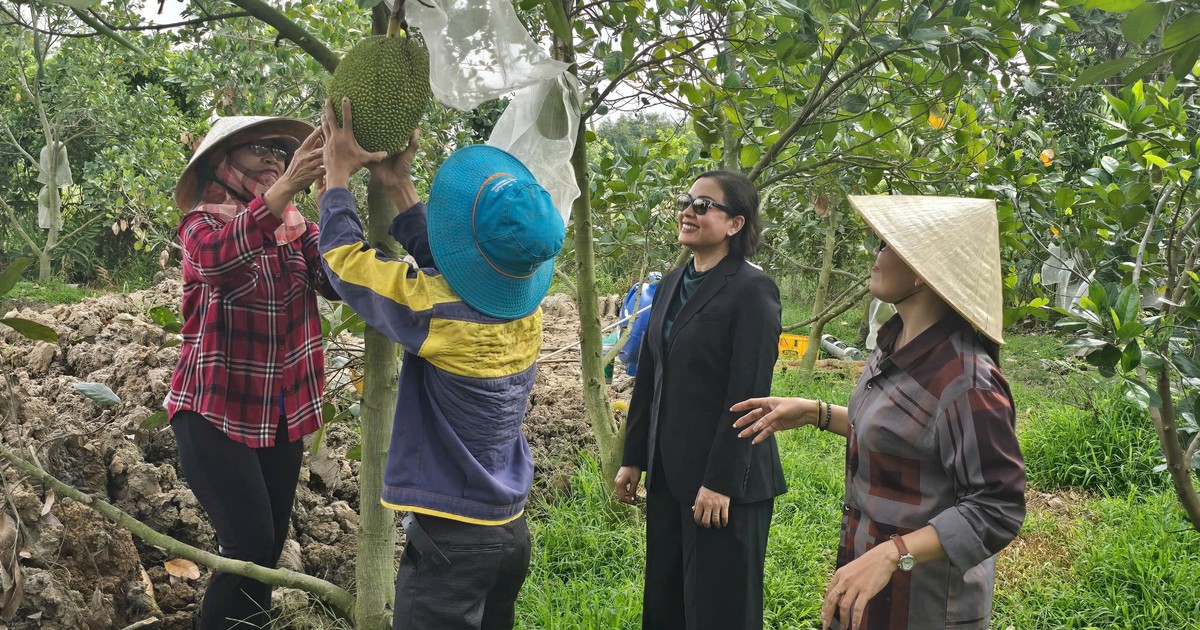 Nông dân Thủ Thừa thay đổi cuộc sống nhờ Quỹ hỗ trợ cộng đồng David ...