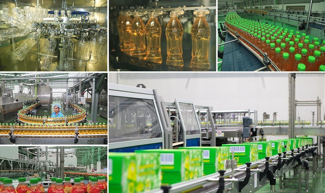 Lý do hàng triệu người tin dùng Trà Xanh Không Độ | Báo Pháp Luật TP. Hồ Chí Minh