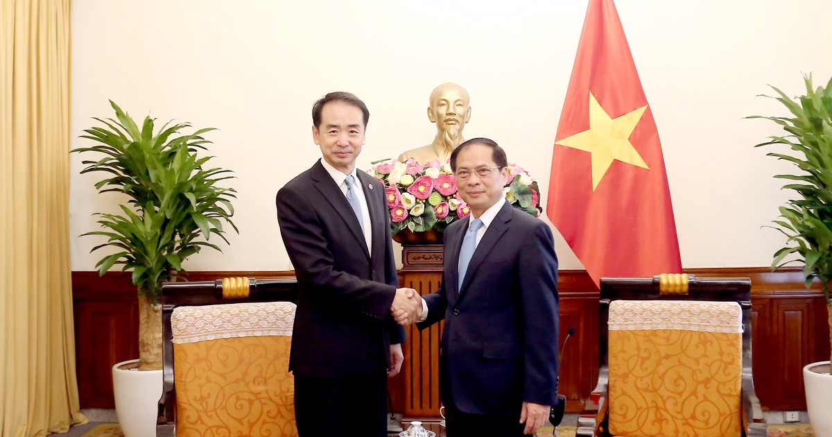 Phó Thủ tướng Bùi Thanh Sơn tiếp Đại sứ Trung Quốc Hà Vĩ | Báo Pháp Luật TP. Hồ Chí Minh