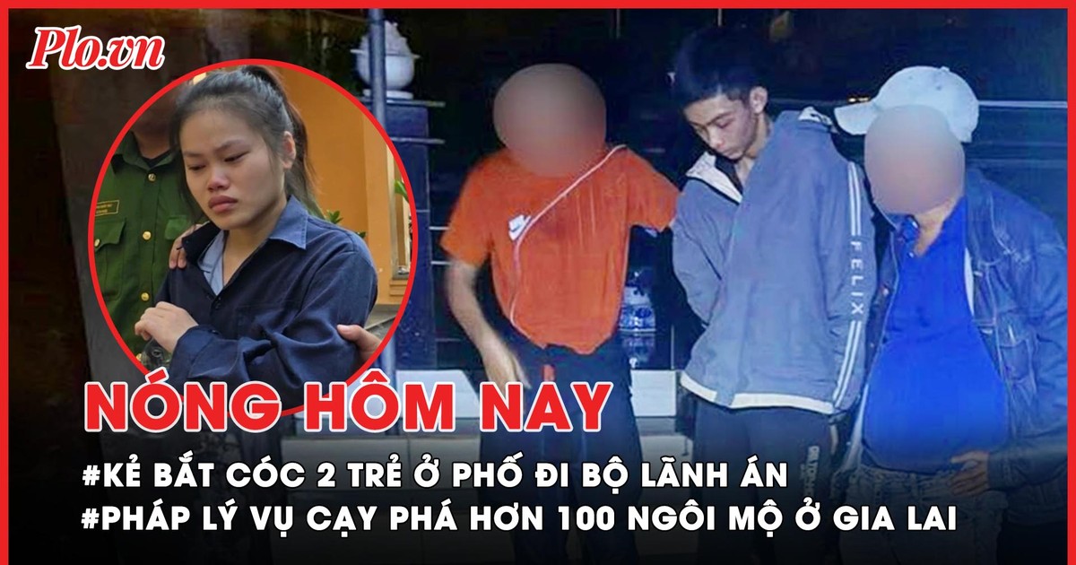 Nóng hôm nay: Pháp lý vụ cạy phá hơn 100 ngôi mộ ở Gia Lai; Tuyên án vụ bắt cóc 2 trẻ ở phố đi ...
