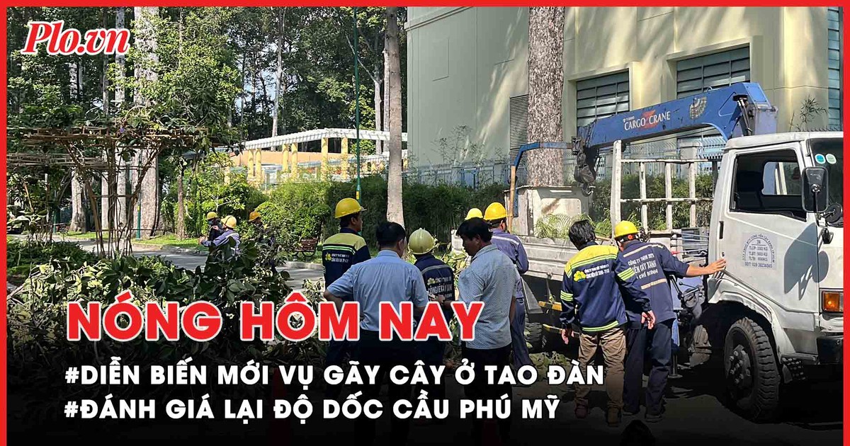 Nóng hôm nay: Cập nhật tình hình sức khỏe 3 người bị thương vụ gãy cây ...