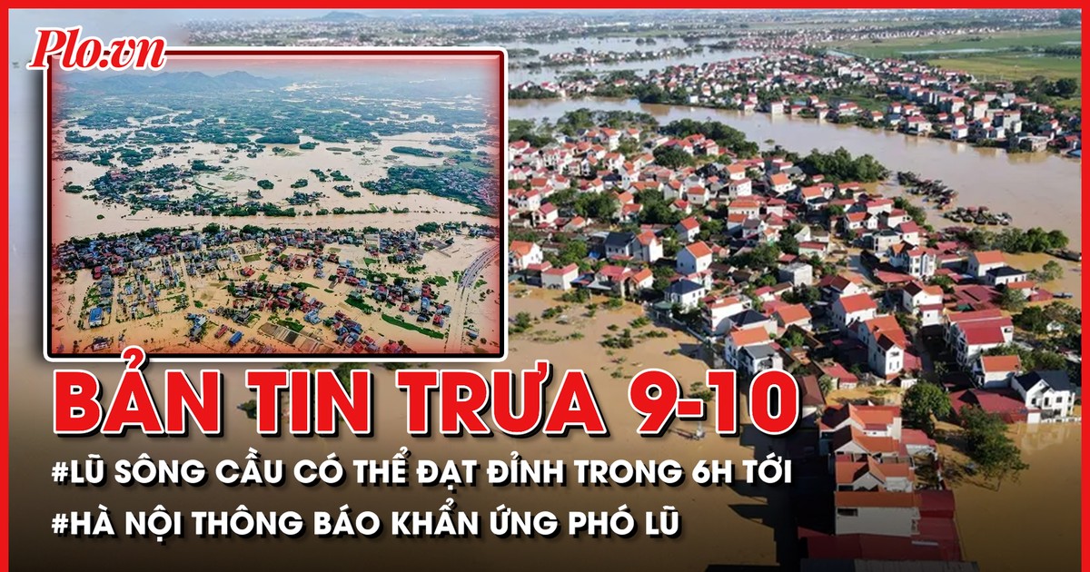 Bản tin trưa 9-10: Lũ trên Sông Cầu có thể đạt đỉnh trong 6 giờ tới ...