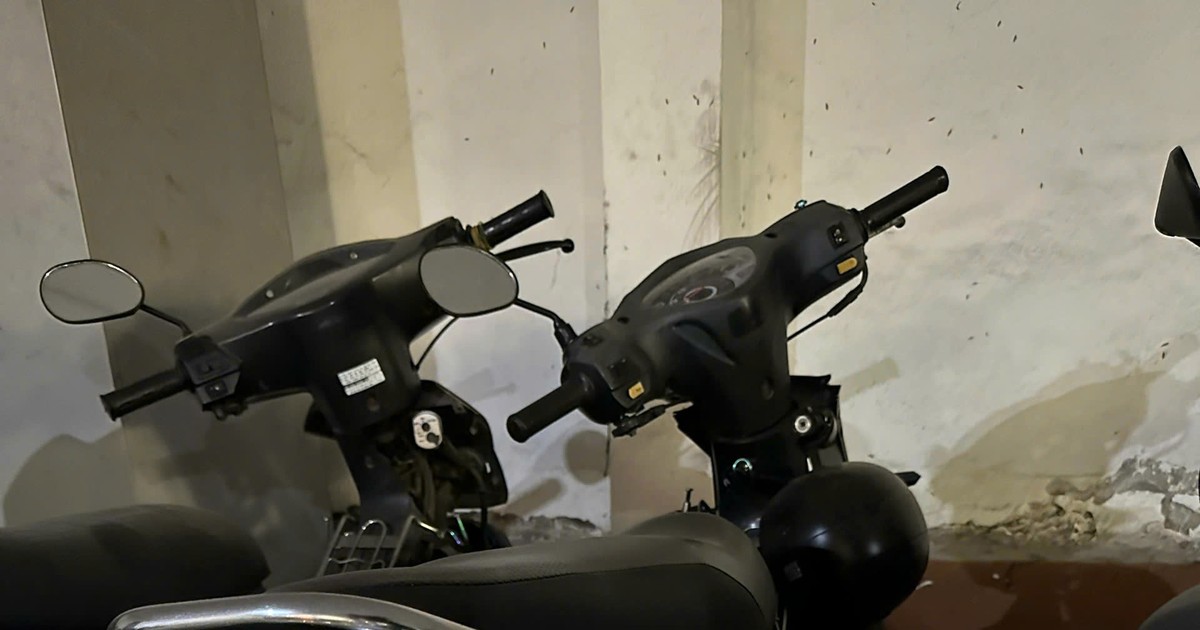 Cô gái dùng dao tấn công khiến 2 người bị thương | Báo Pháp Luật TP. Hồ ...