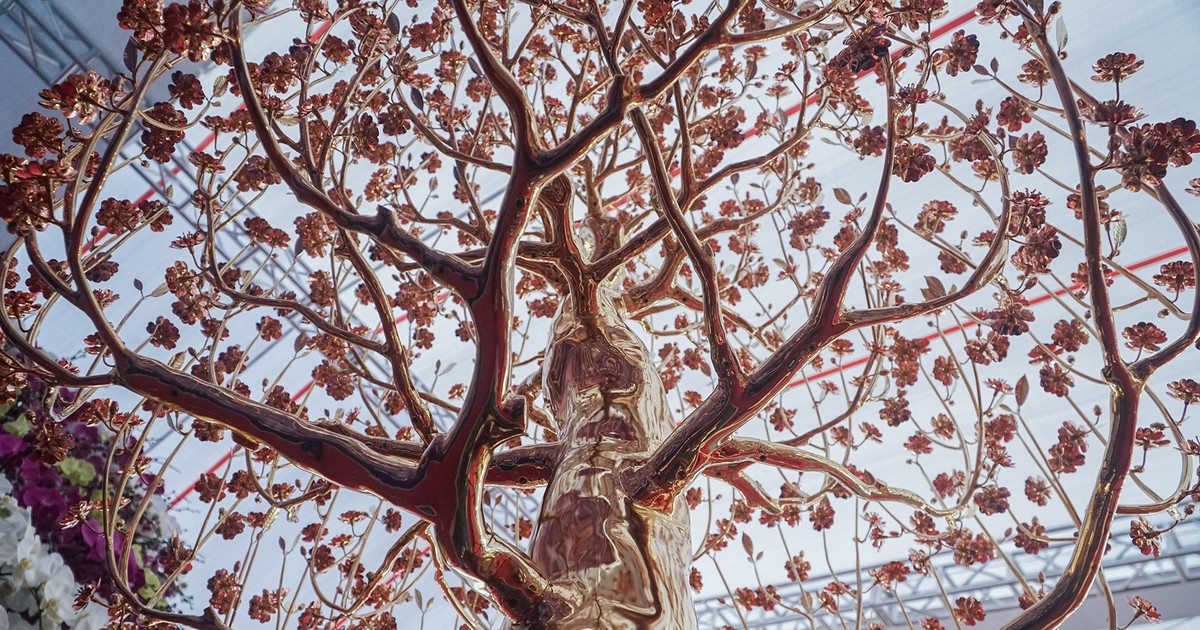 Cận cảnh cây hoa đào dát vàng 24k giá tiền tỉ phục vụ Tết Nguyên đán ...