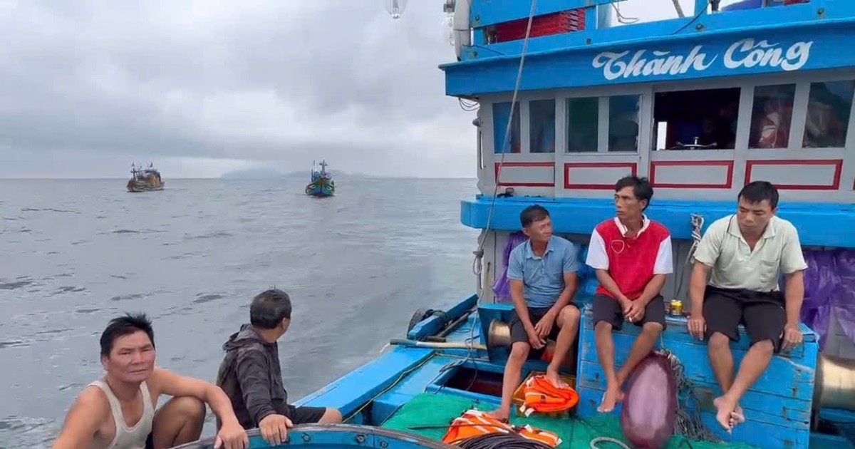 Chìm tàu cá gần đảo Lý Sơn, 11 ngư dân được cứu kịp | Báo Pháp Luật TP ...
