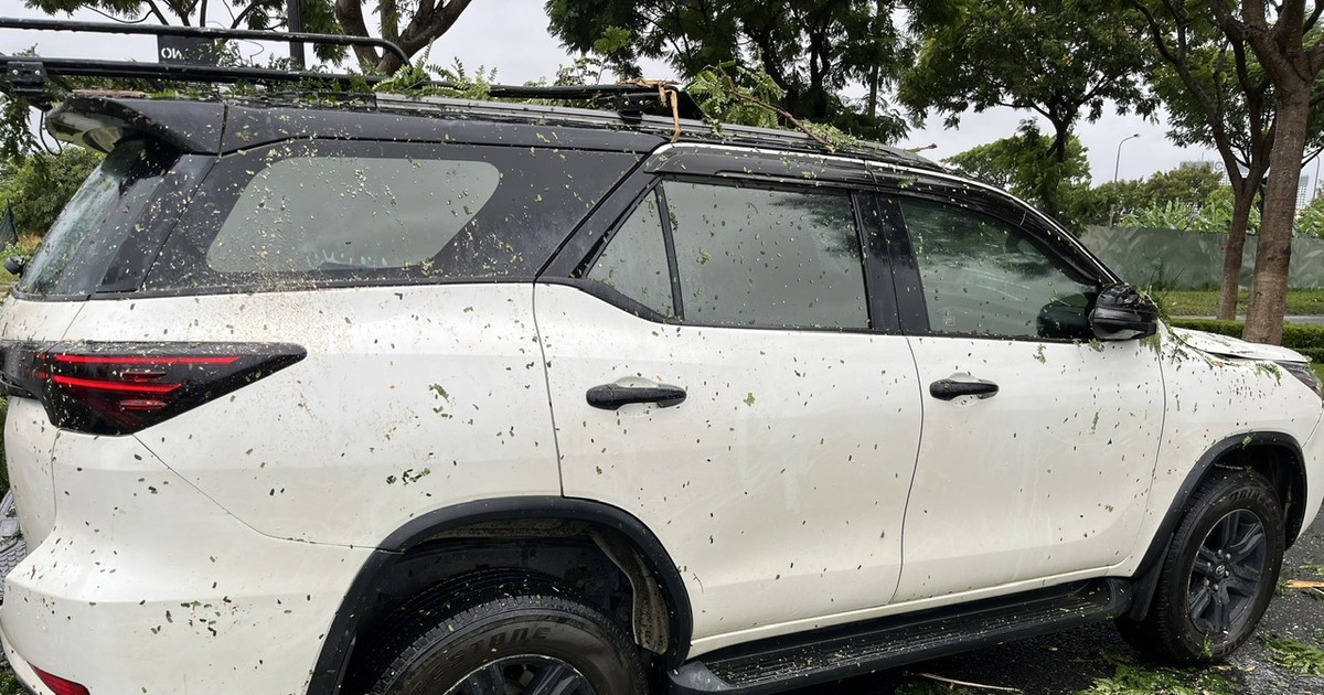 Giải cứu thành công 6 người ở Đà Nẵng bị mắc kẹt trong ô tô vì cây đổ ...