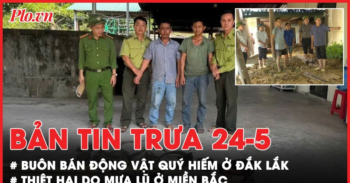 Bản tin trưa 24-5: 6 địa bàn trọng điểm buôn bán động vật quý hiếm ở Đắk Lắk; Bắt đầu có thiệt ...