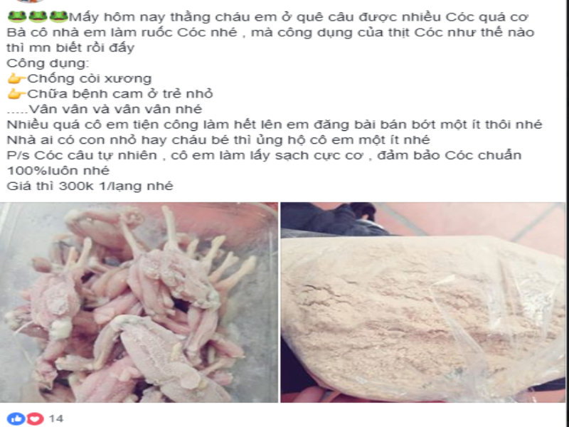 Thịt cóc có phải 'thần dược' cho trẻ còi xương? | Báo Pháp Luật TP. Hồ ...