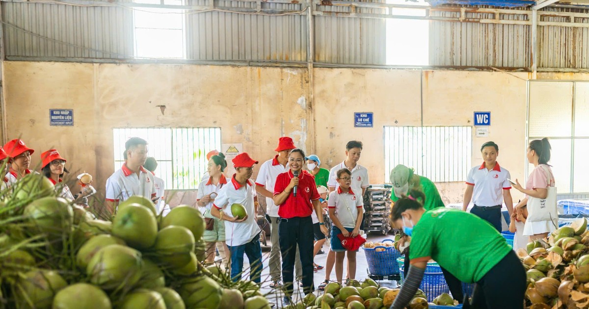 Xuất khẩu sầu riêng, trái cây sang thị trường Trung Quốc giảm mạnh ...