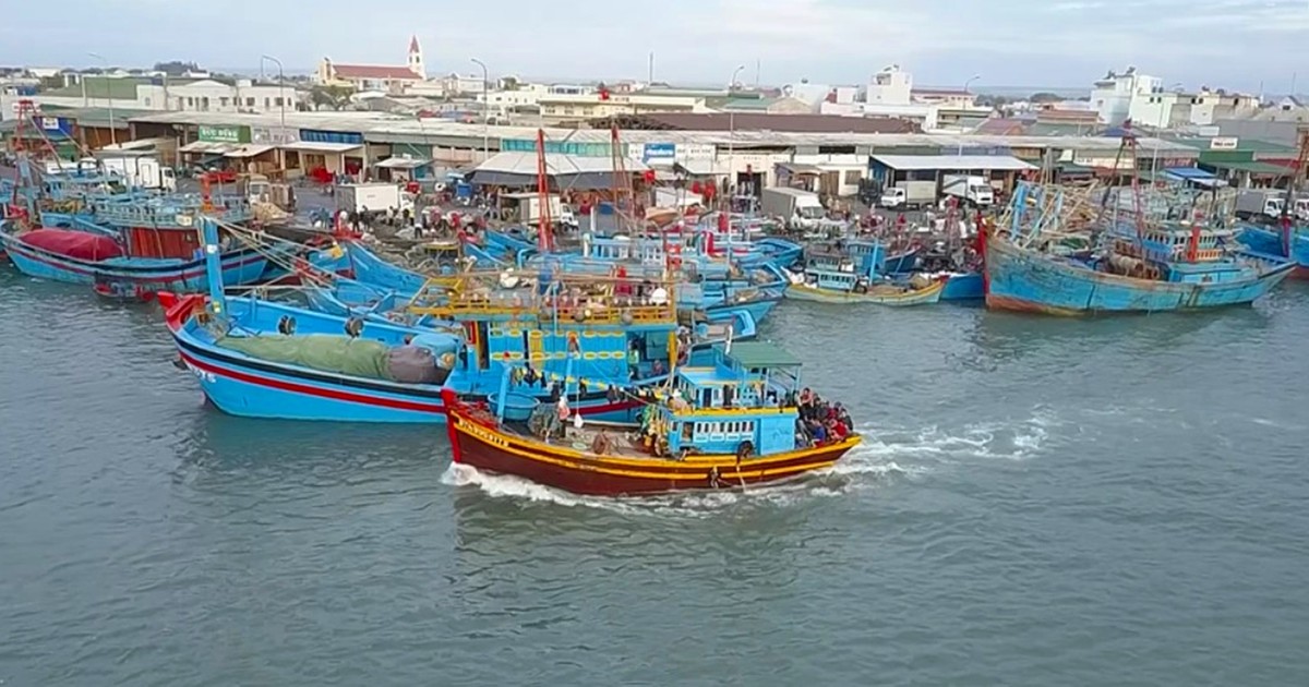 1 công ty ở Bình Thuận khai thác không phép hơn 100.000 m3 cát nhiễm ...