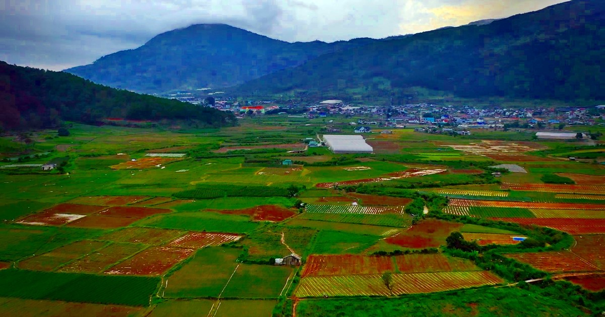 Lâm Đồng đăng ký làm việc với Trung ương gỡ nút thắt cho dự án 981 tỉ ...