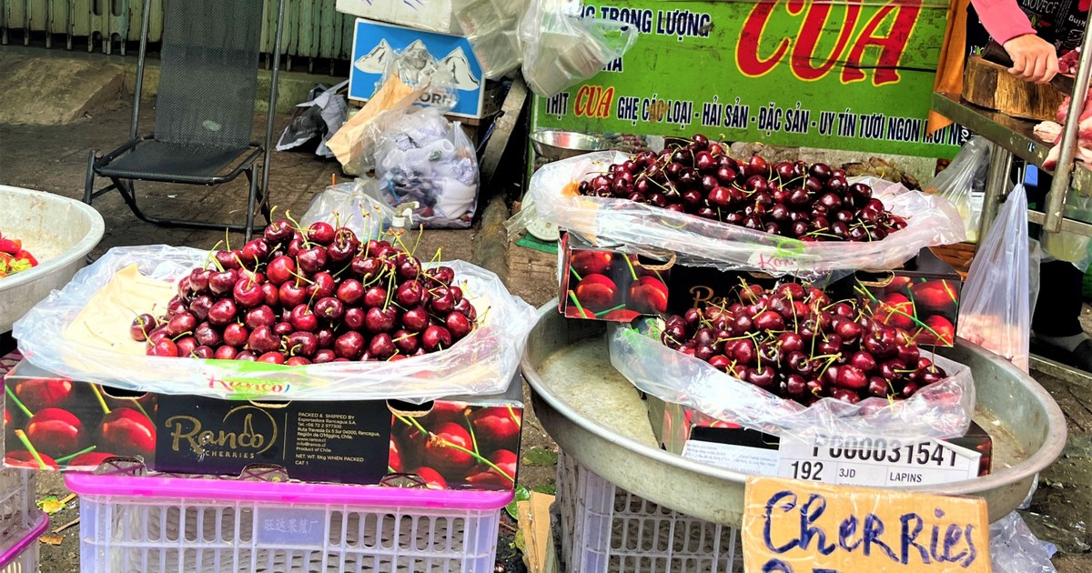 Vì sao cherry Chile giá rẻ ngập chợ Việt Nam? | Báo Pháp Luật TP. Hồ Chí Minh