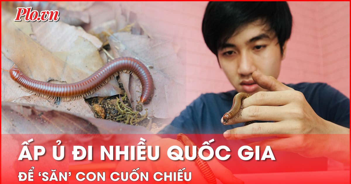 Xem con cuốn chiếu như thú cưng, chàng trai đi khắp nơi săn tìm về nuôi ...