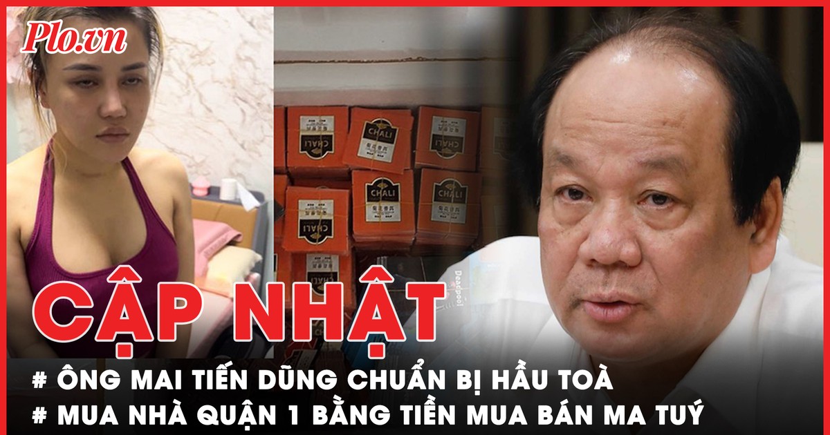 Điểm nóng tố tụng: Ông Mai Tiến Dũng chuẩn bị hầu toà về tội danh gì? | Báo Pháp Luật TP. Hồ Chí ...