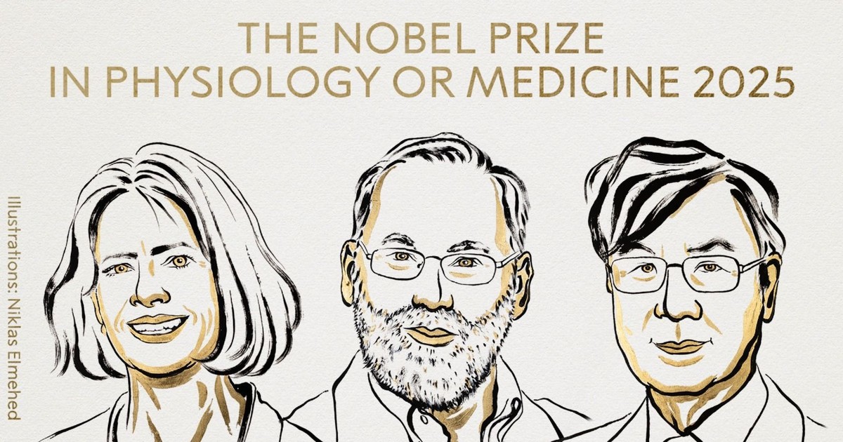 Nobel Y học 2025 vinh danh công trình về dung nạp miễn dịch ngoại biên ...