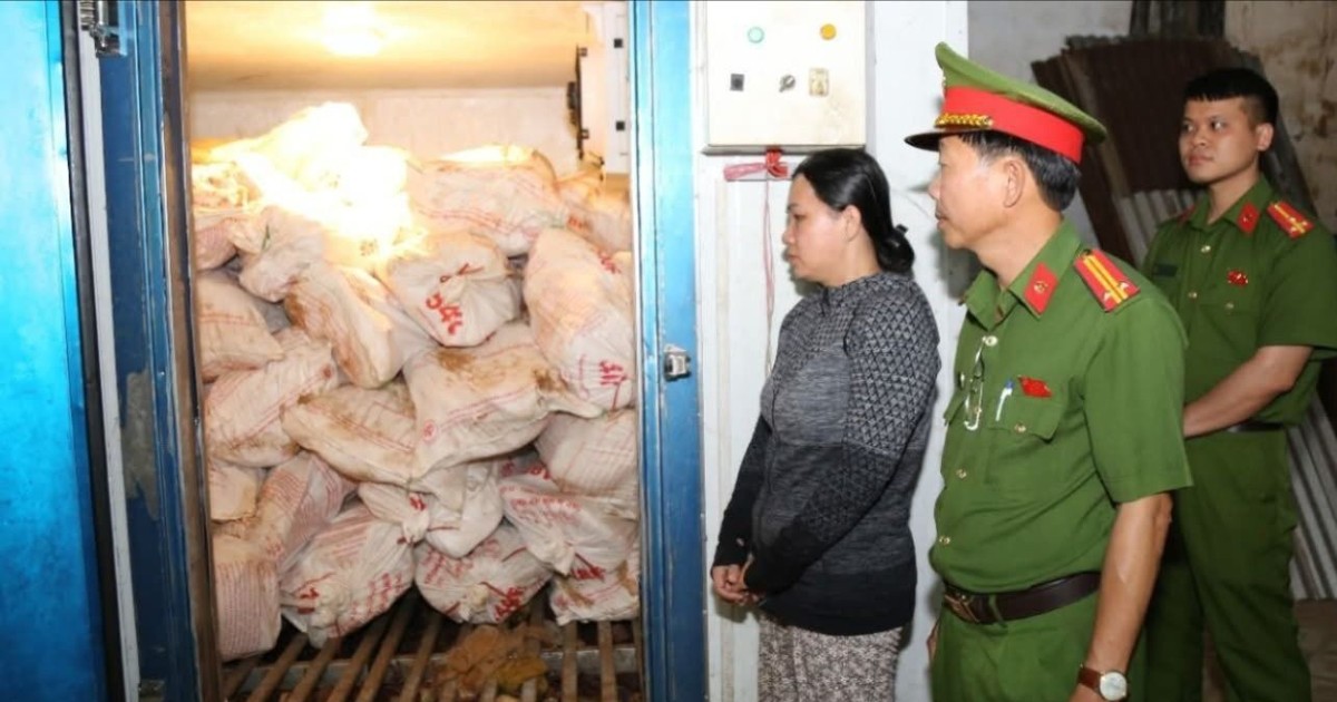 Người phụ nữ mua 12 tấn heo bệnh chết rồi bán ra thị trường | Báo Pháp ...