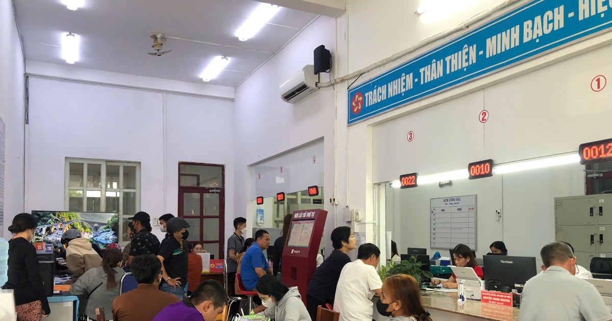 Cần Thơ: Đề xuất 359 thủ tục liên quan đến bãi bỏ quy định, cắt giảm ...