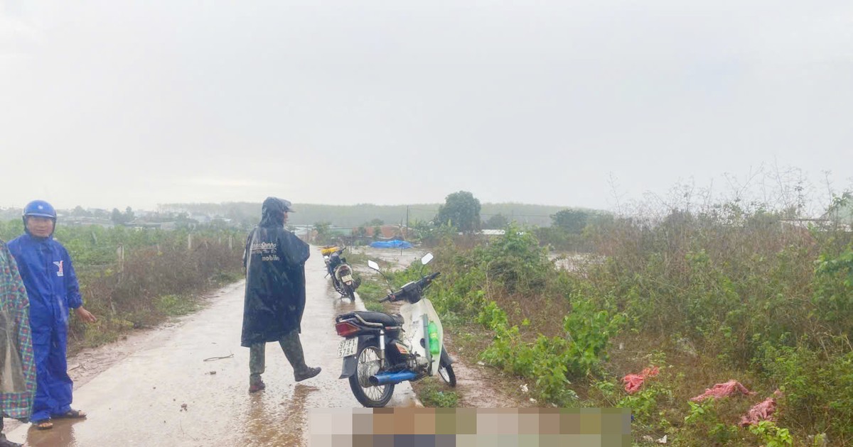 Trên đường về nhà, người đàn ông bị sét đánh tử vong | Báo Pháp Luật TP ...