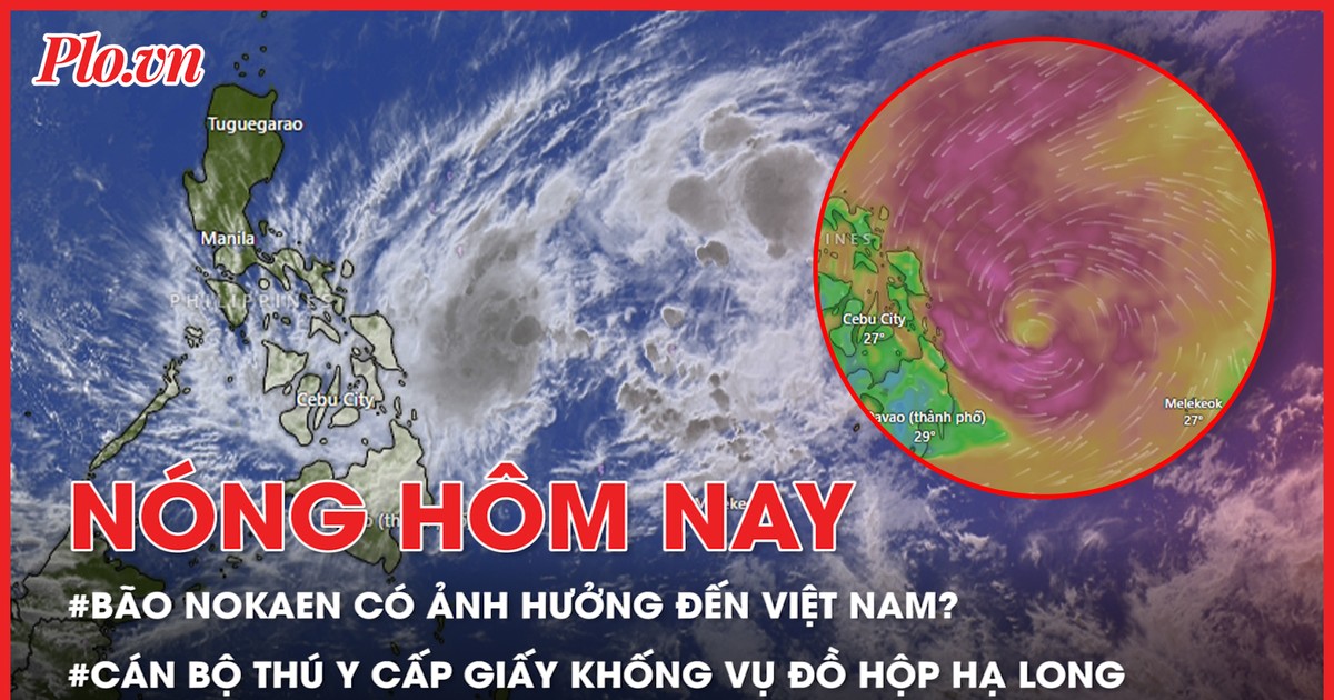 Bão Nokaen có ảnh hưởng đến Việt Nam? Cán bộ thú y cấp giấy khống cho ...