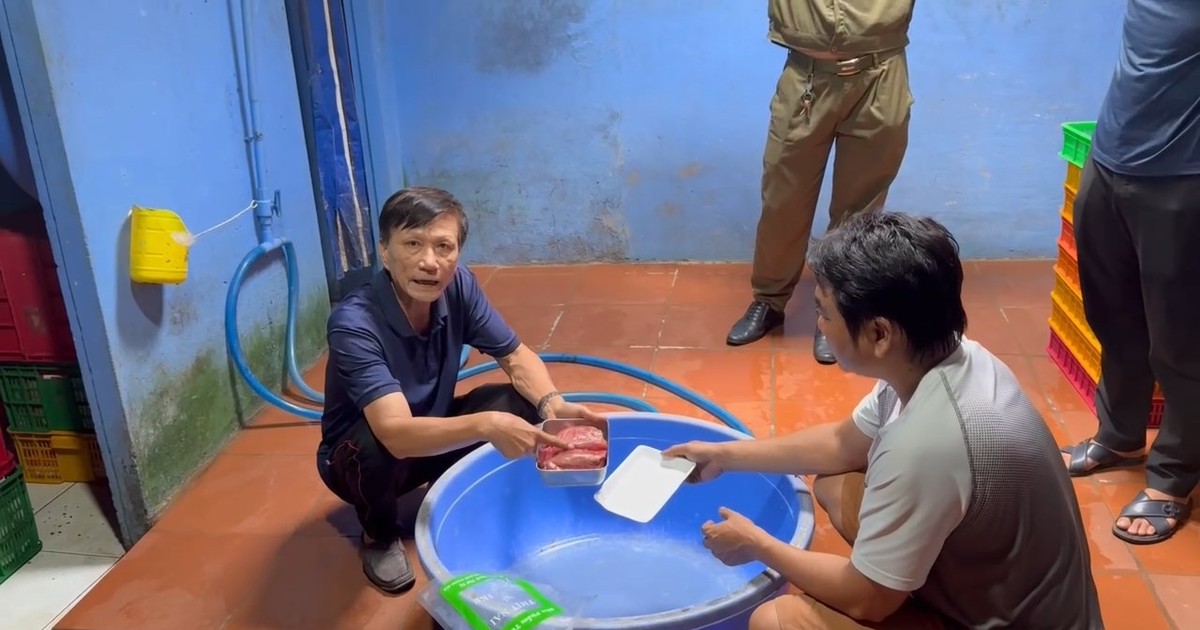 Lời khai các bị can 'phù phép' thịt lợn thành thịt nhím, nai, bắp dê ...